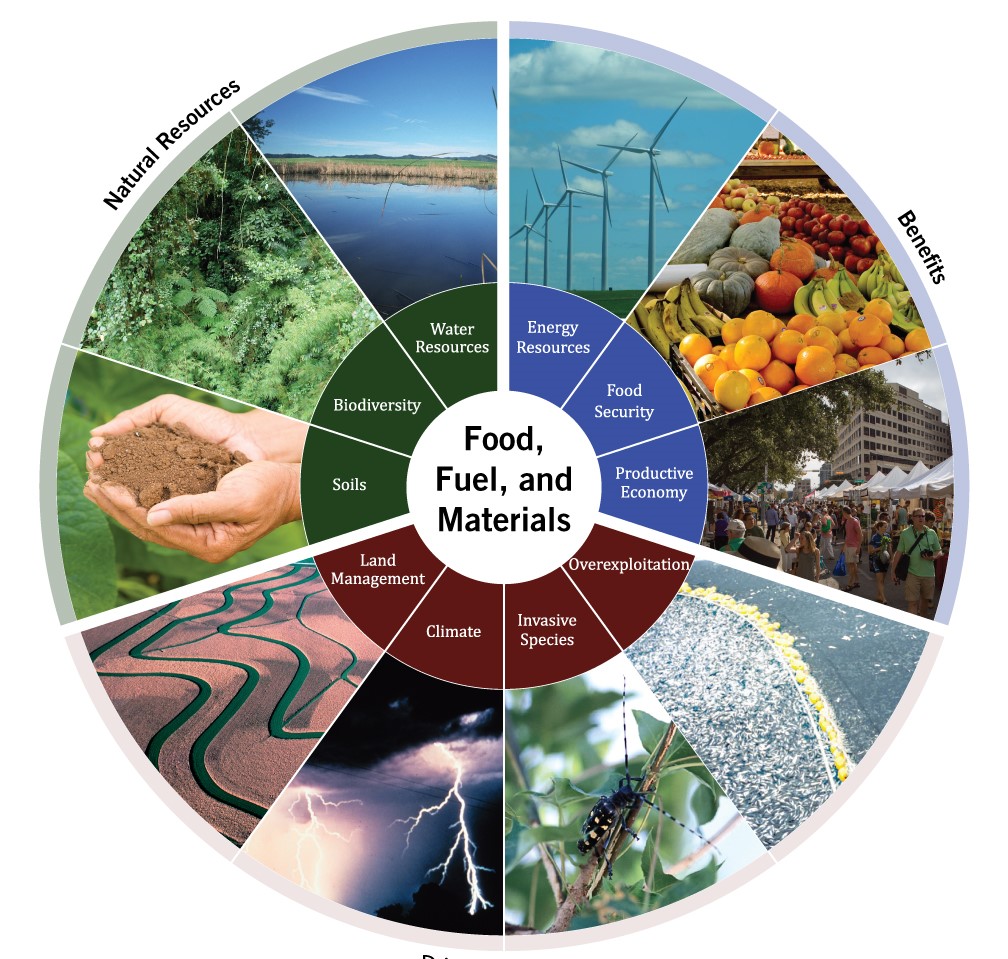FOOD RESOURCE PRODUCTION